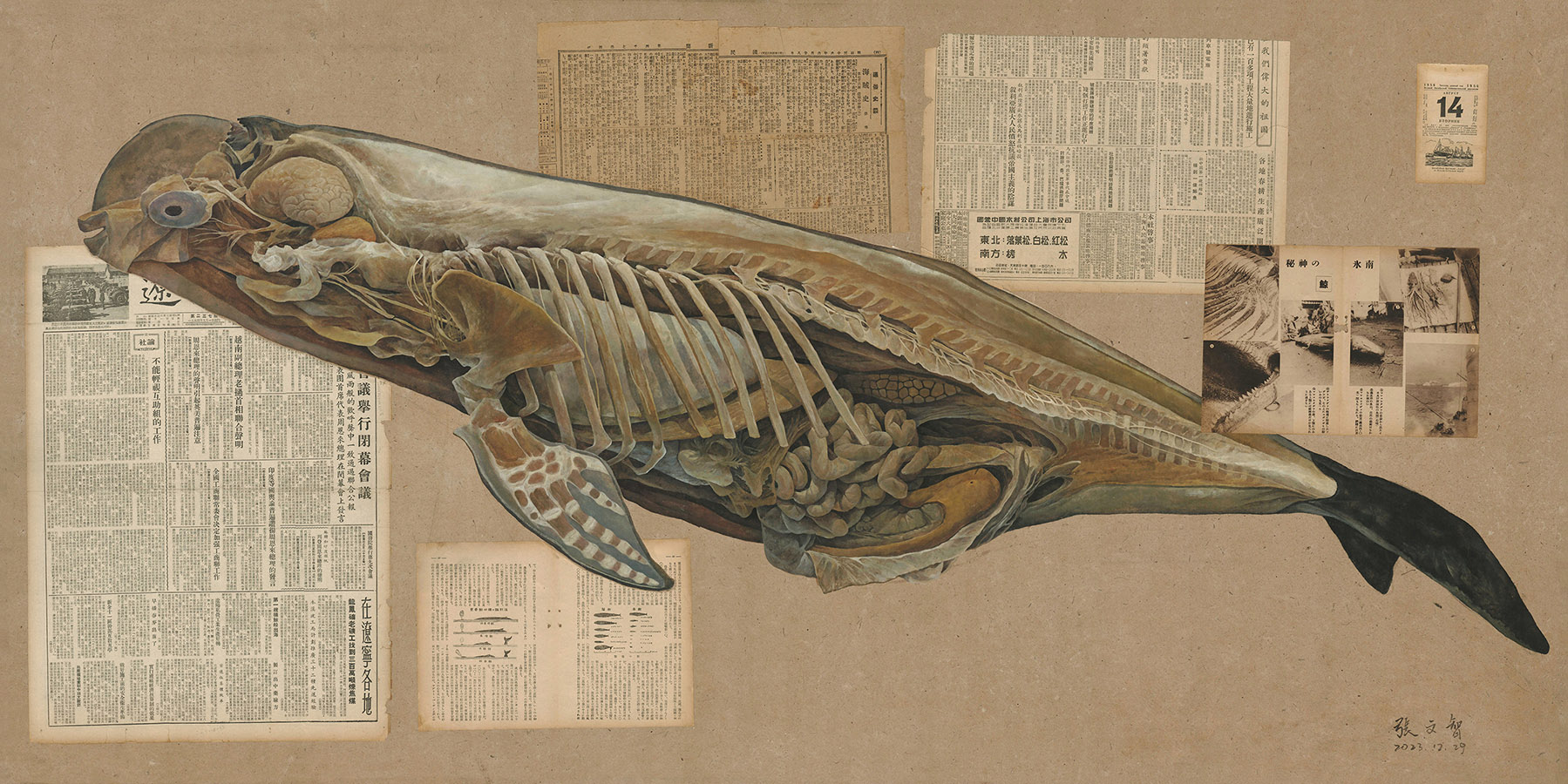 Yangtze River Dolphin – ART LABOR Gallery